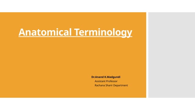 Basic fundamental terminology in learning Anatomy Terminology ...