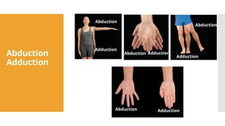 Basic fundamental terminology in learning Anatomy Terminology ...