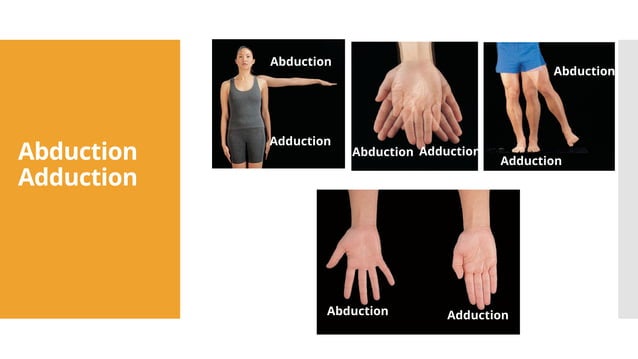 Basic fundamental terminology in learning Anatomy Terminology ...
