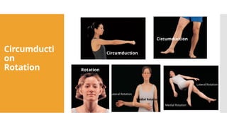 Basic fundamental terminology in learning Anatomy Terminology ...