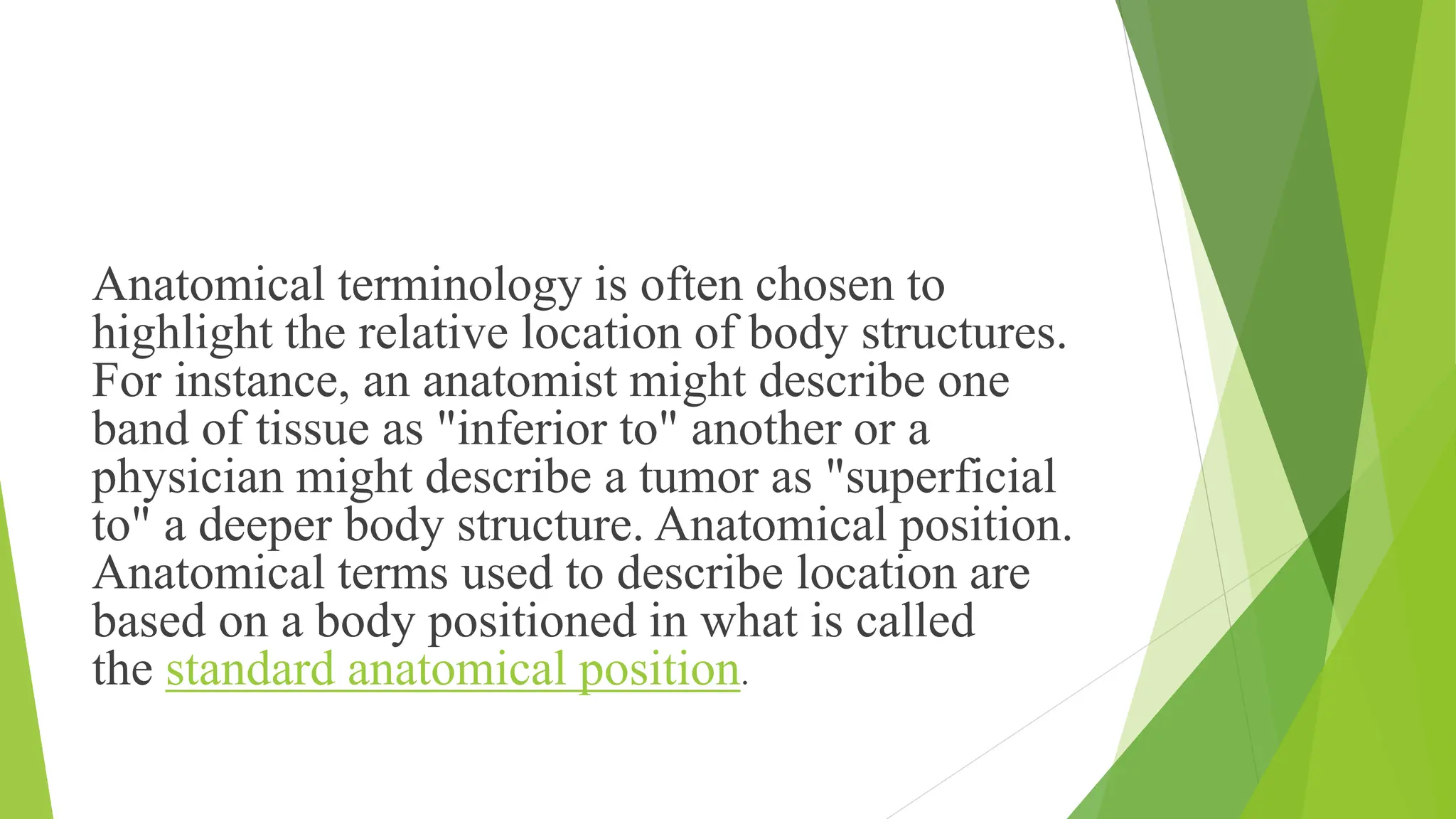 Anatomical terminology lecture. specialized translation | PPTX ...