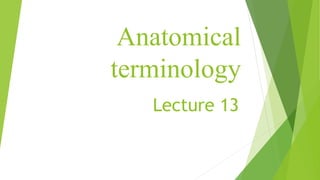 Anatomical terminology lecture. specialized translation | PPTX ...