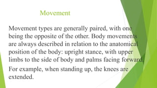 Anatomical terminology lecture. specialized translation | PPTX ...