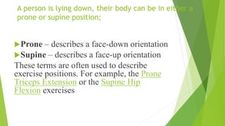 Anatomical terminology lecture. specialized translation | PPTX ...