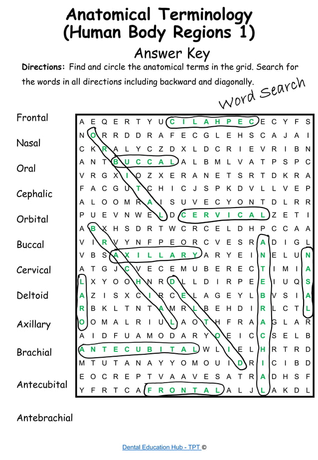 Anatomical Terminology (Human Body Regions 1).pdf