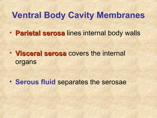 Anatomical Terminology Powerpoint.ppt 123 | PPT