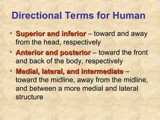 Anatomical Terminology Powerpoint.ppt 123 | PPT