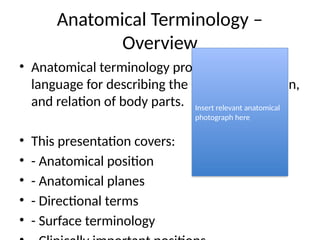 Anatomical_Terminology_Presentation.pptx