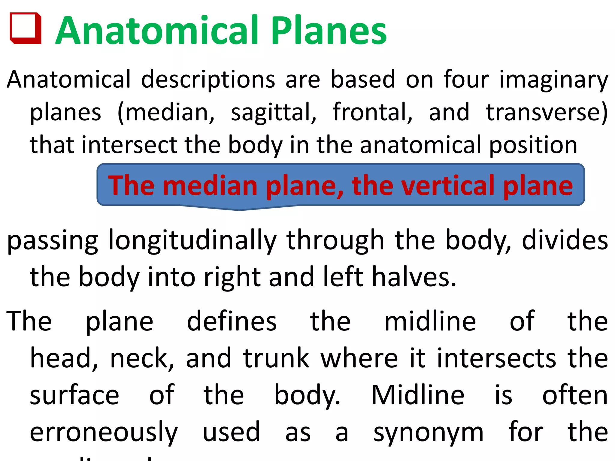 Anatomical terms | PPTX