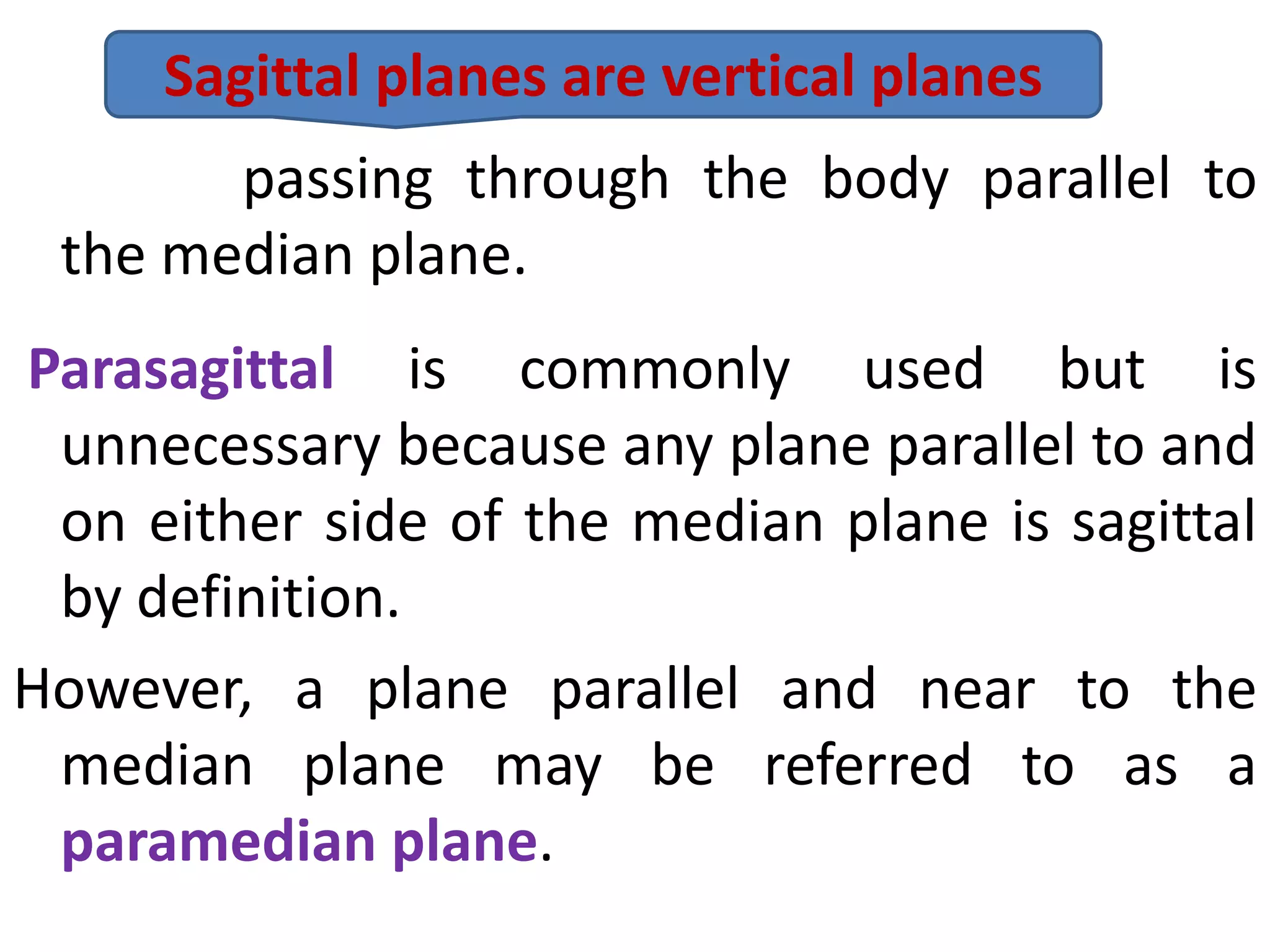 Anatomical terms | PPTX