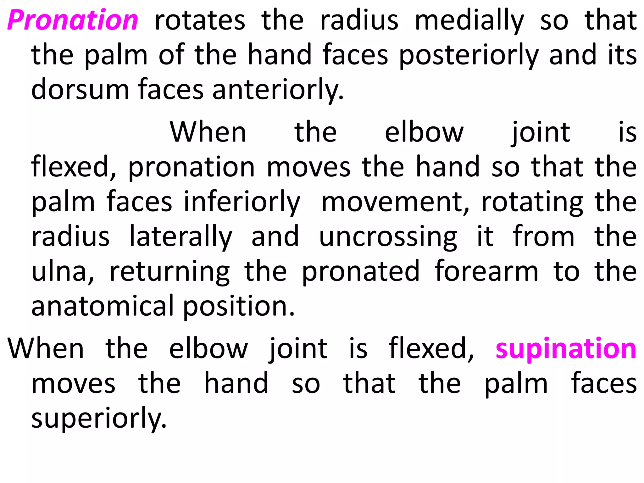 Anatomical terms | PPTX