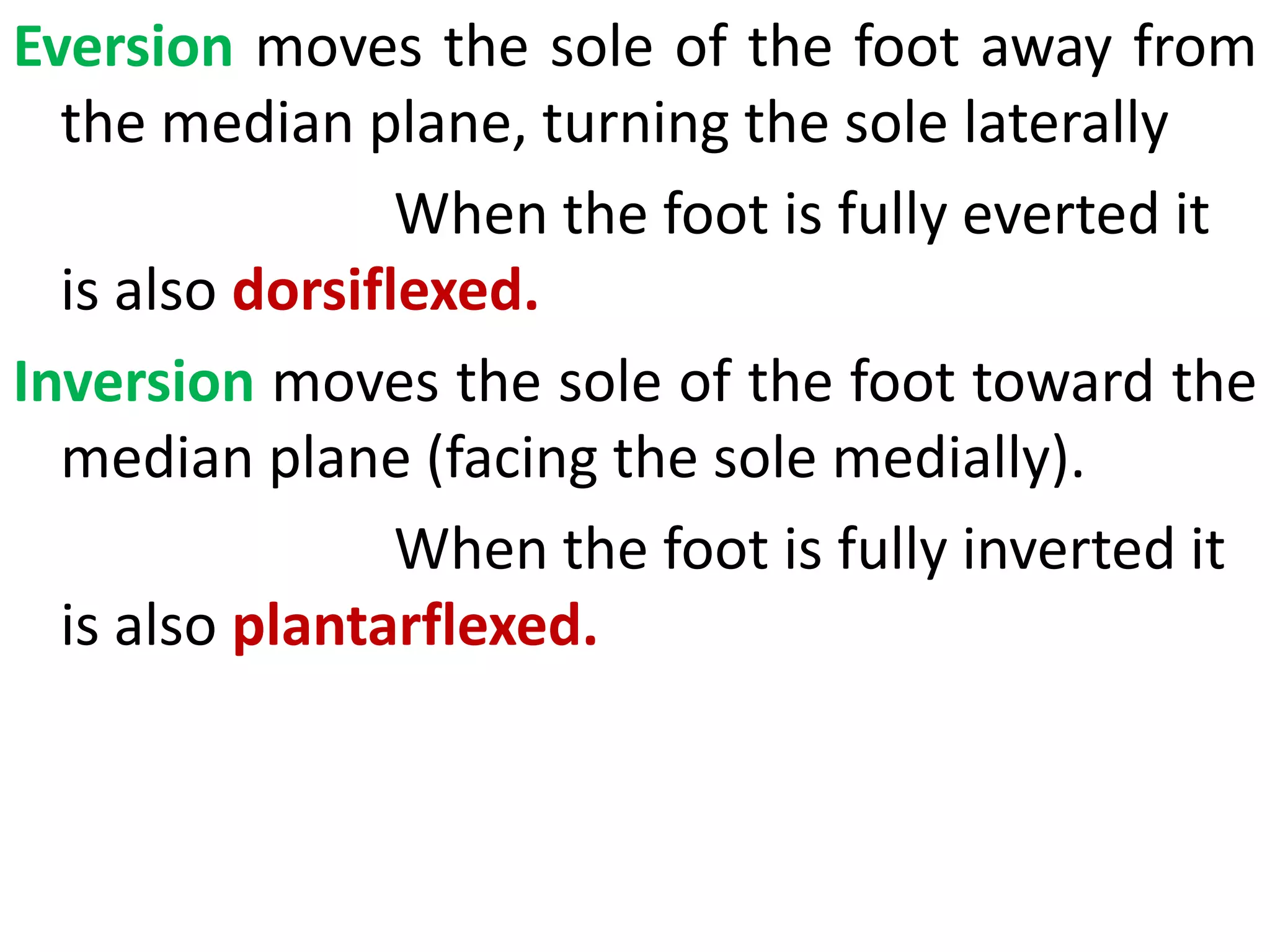 Anatomical terms | PPTX