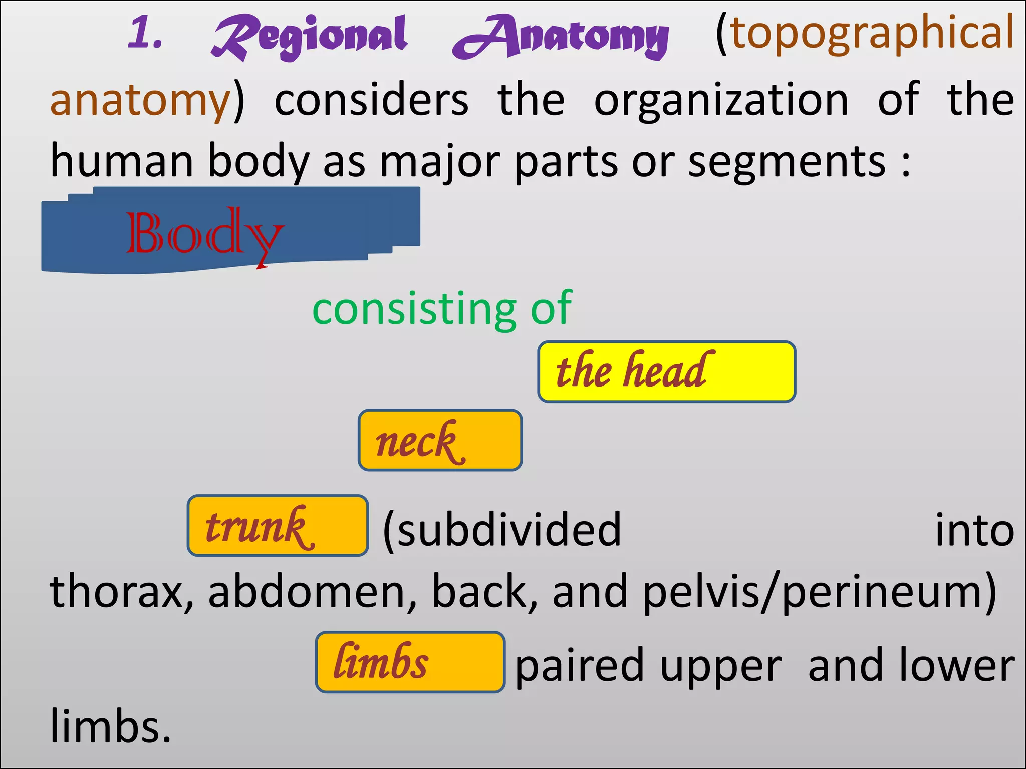 Anatomical terms | PPTX | Death, Injury, or Military Conflict ...