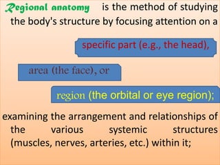 Anatomical terms | PPTX