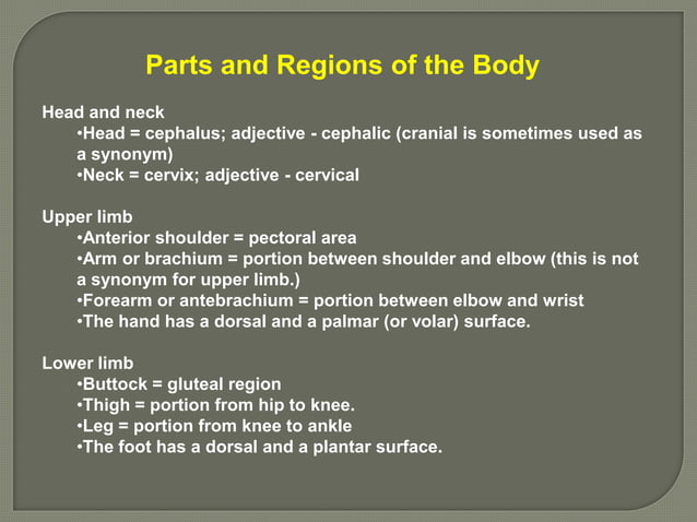 Introduction to Anatomy (Anatomical Terms) | PPTX