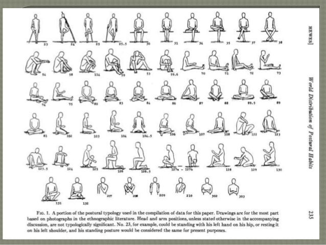 Anatomical Terms Of Movement Flexion Rotation Teachmeanatomy