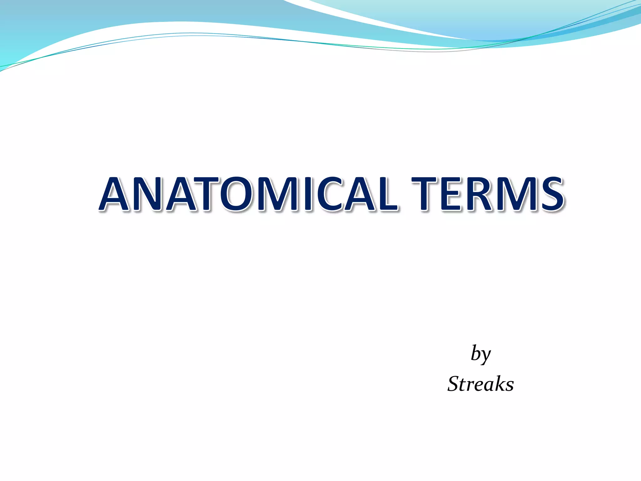 Anatomical terms | PPTX