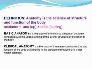 Anatomical terms | PPTX