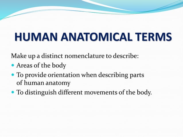 Anatomical terms | PPTX