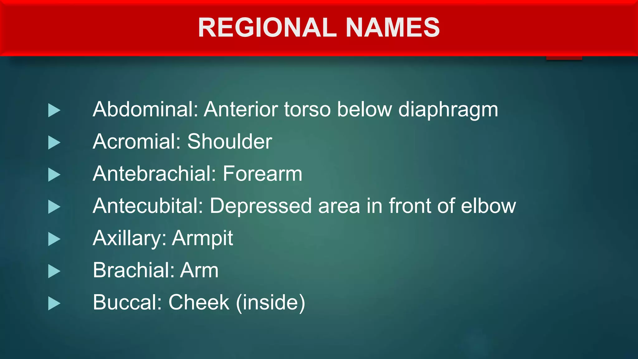 Anatomical terms, Directional Terms | PPTX