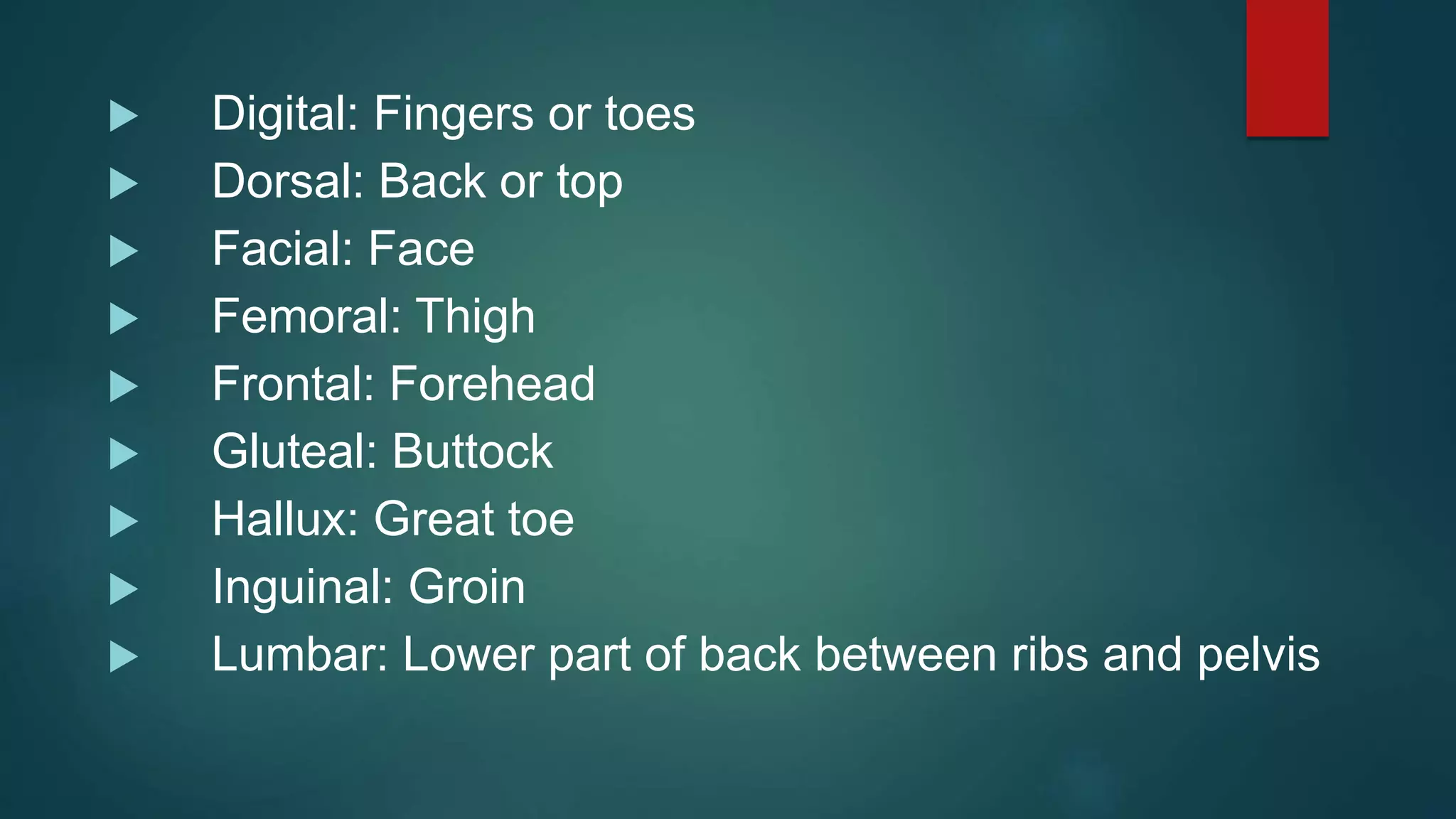 Anatomical terms, Directional Terms | PPTX