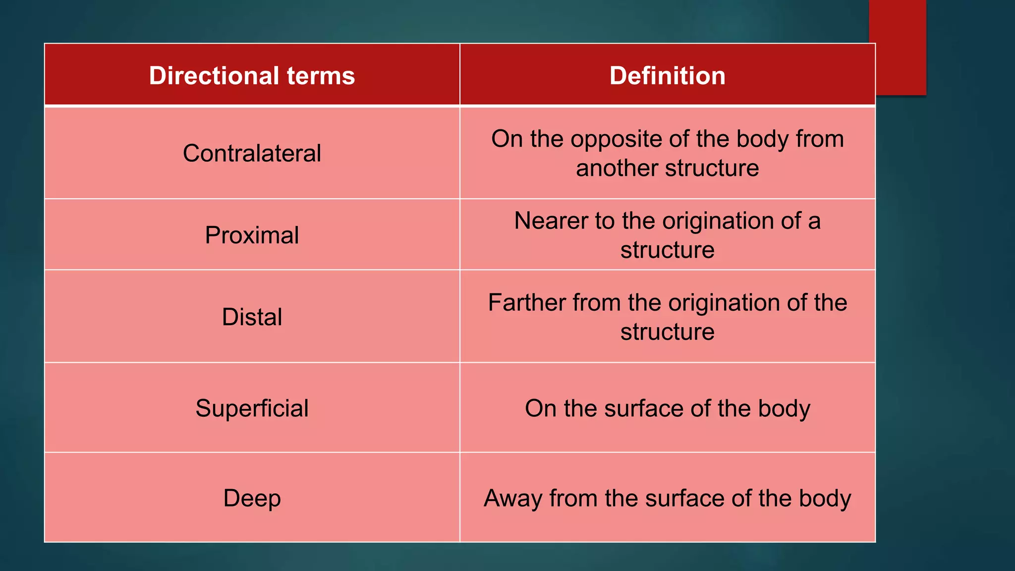 Anatomical terms, Directional Terms | PPTX