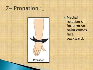 Anatomical terms for anatomy by ravi sir | PPTX