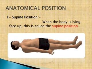 Anatomical terms for anatomy by ravi sir | PPT