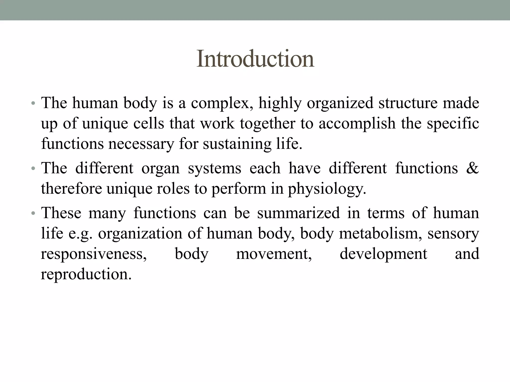 Anatomical terms.pptx