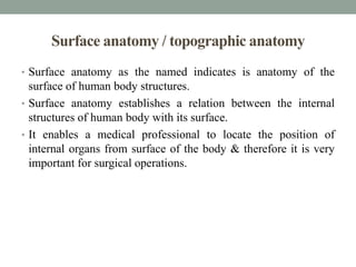 Anatomical terms.pptx