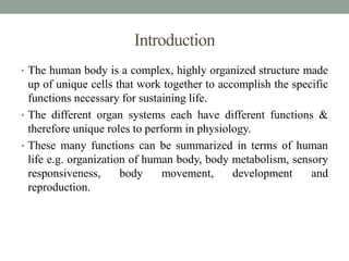 Anatomical terms.pptx