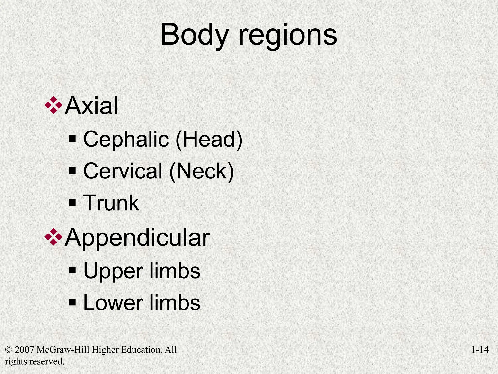 anatomical terminology for first year MBBS | PPT