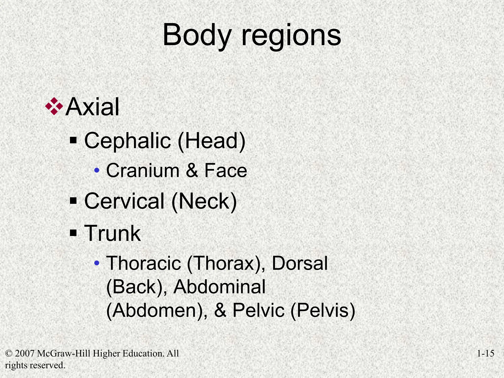 anatomical terminology for first year MBBS | PPT