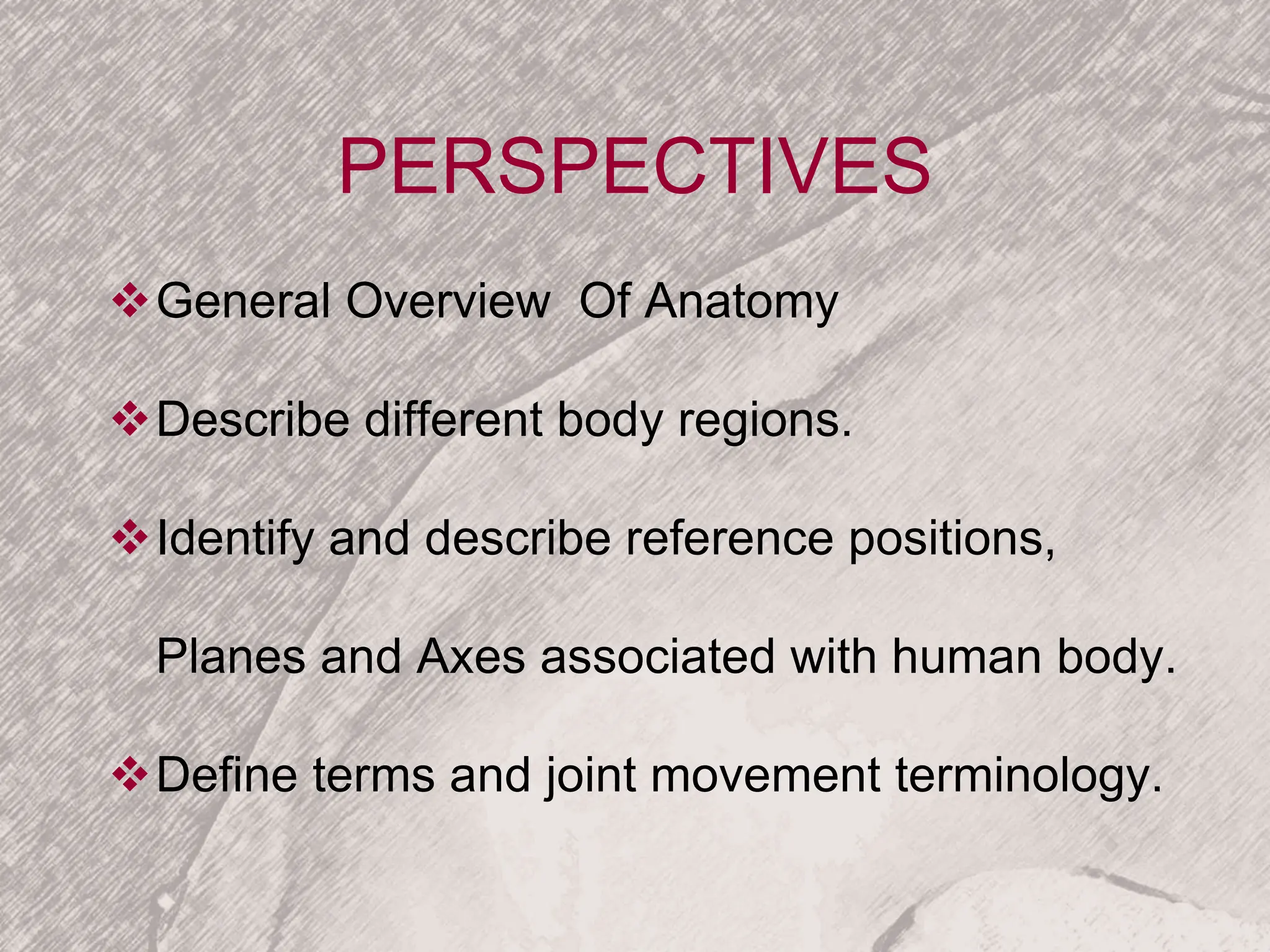 anatomical terminology for first year MBBS | PPT