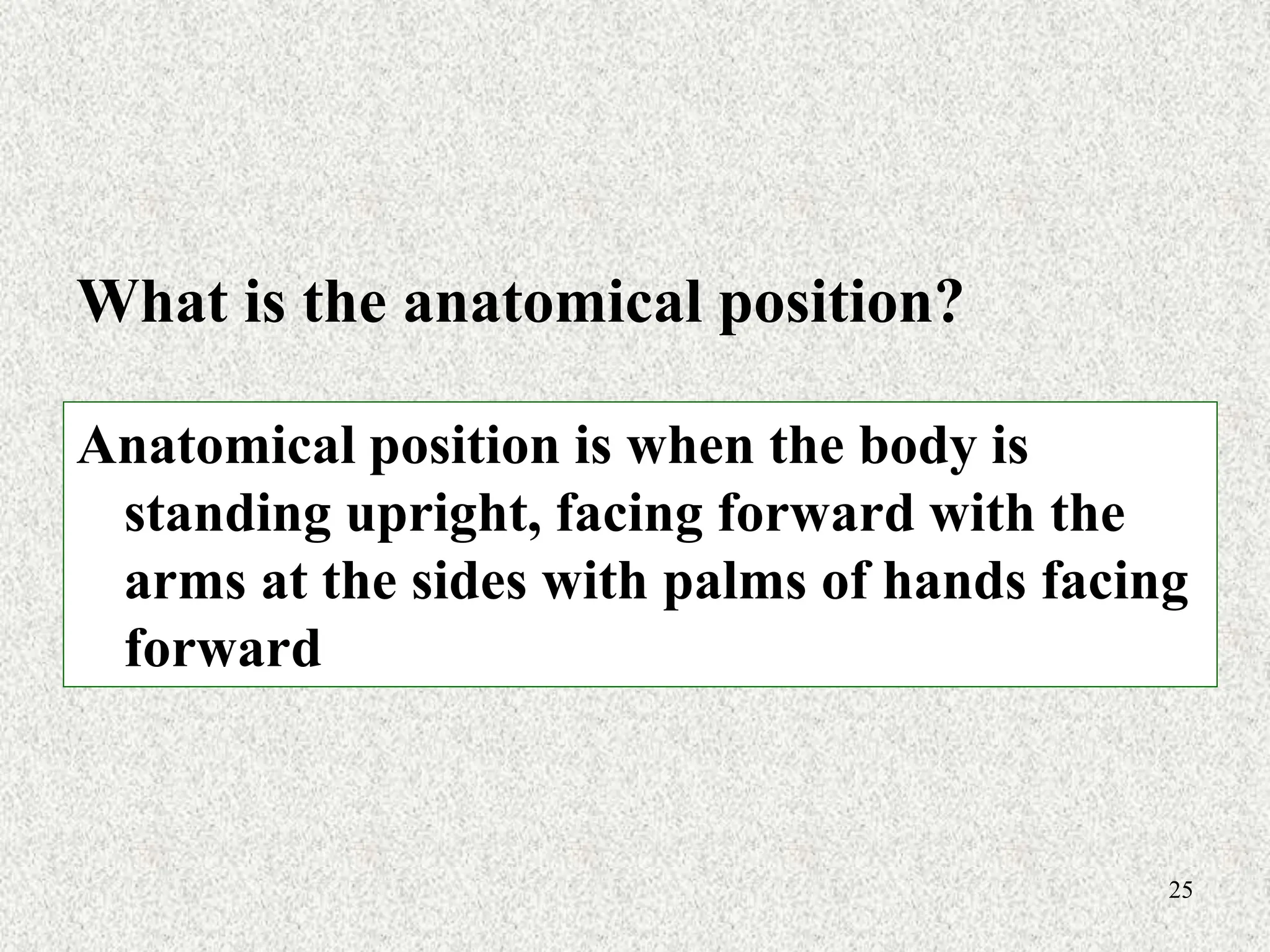 anatomical terminology for first year MBBS | PPT