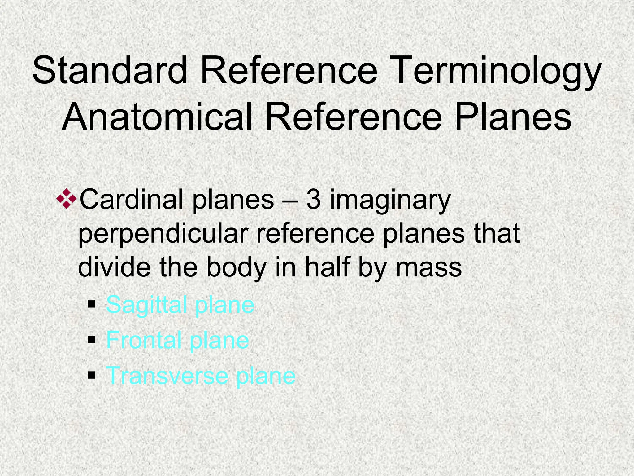 anatomical terminology for first year MBBS | PPT