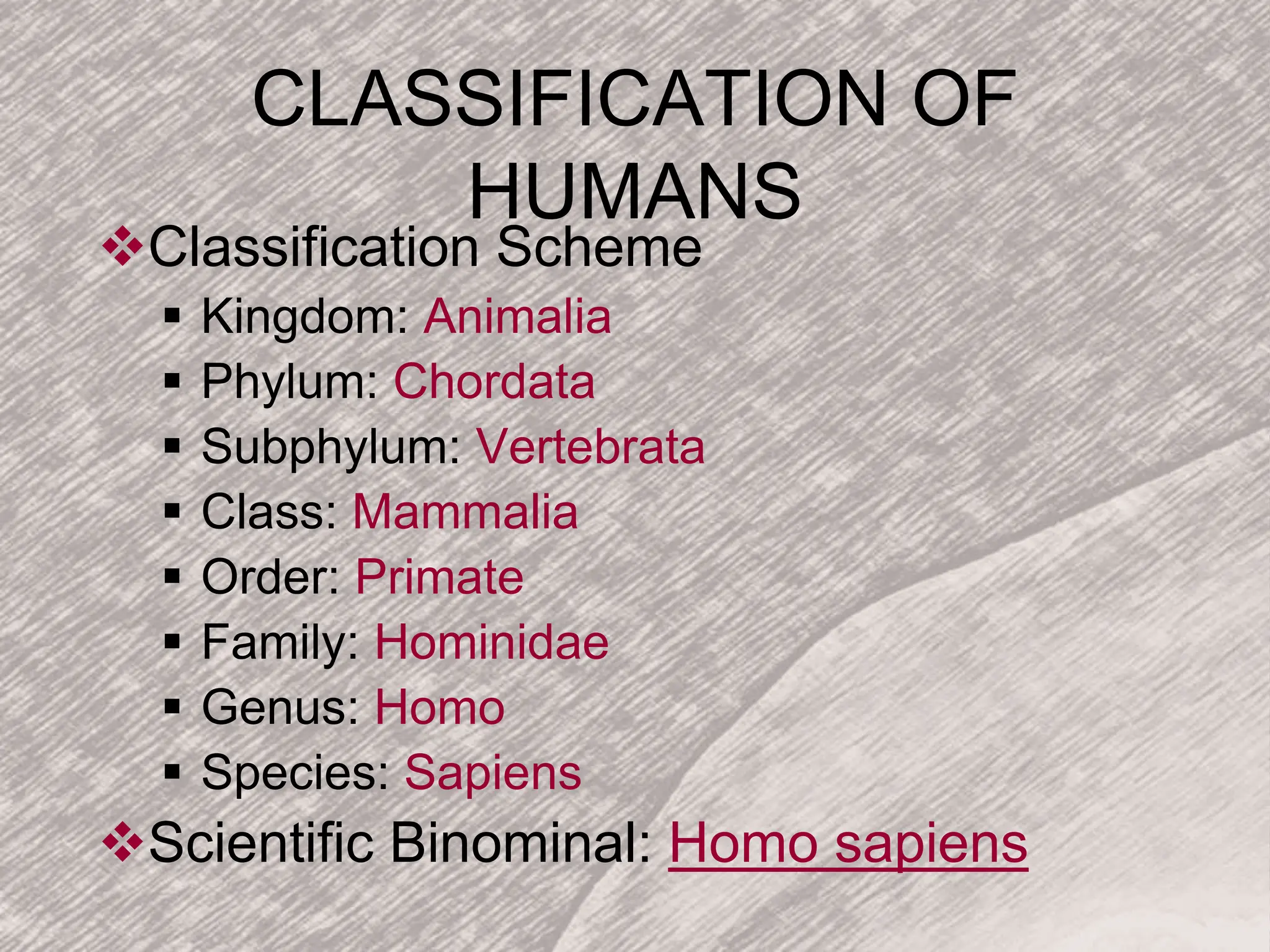 anatomical terminology for first year MBBS | PPT