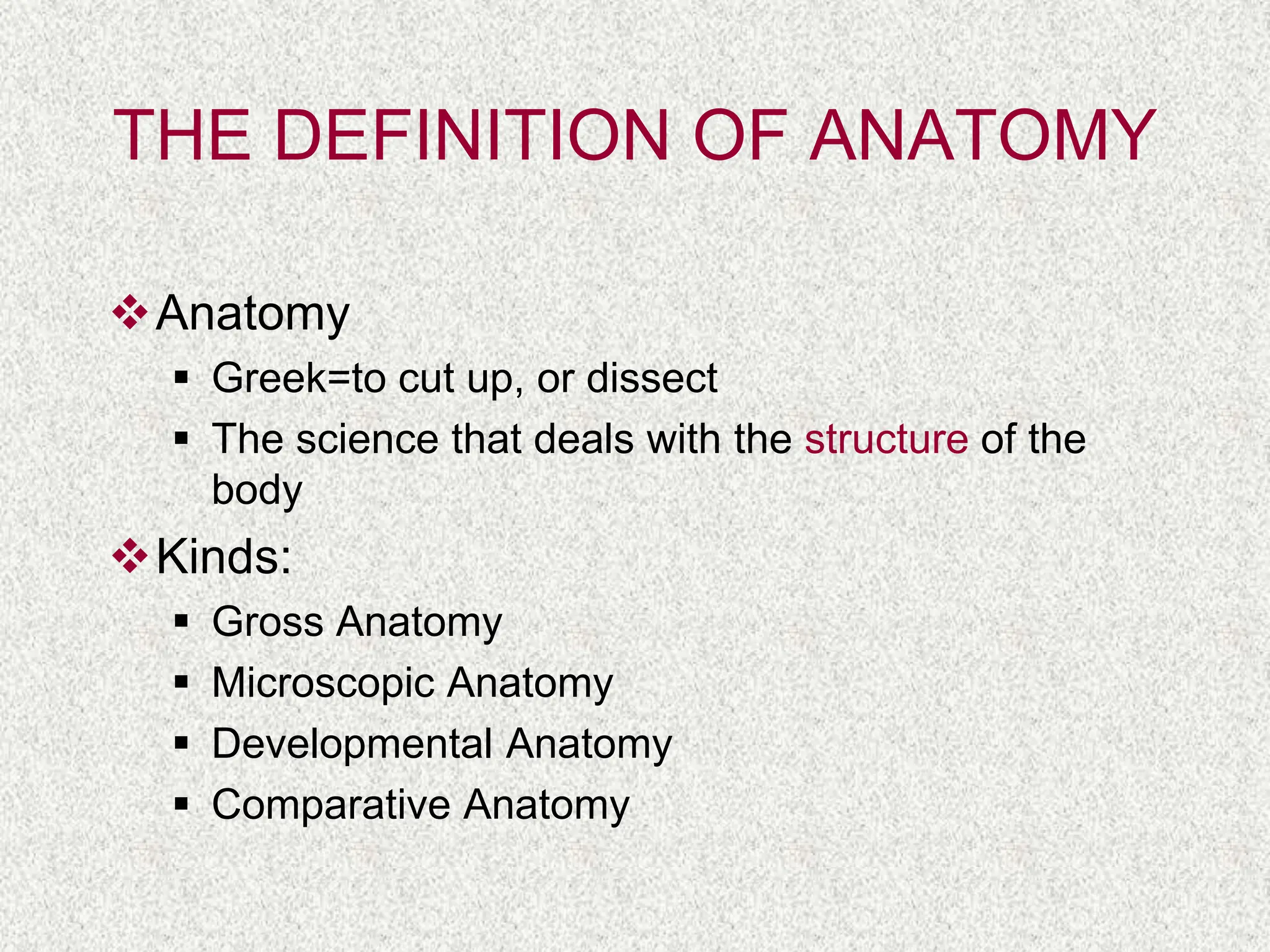 anatomical terminology for first year MBBS | PPT