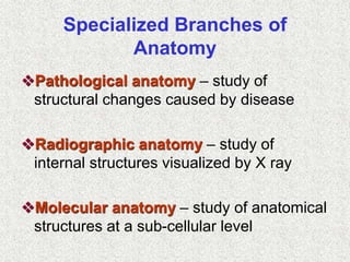 anatomical terminology for first year MBBS | PPT