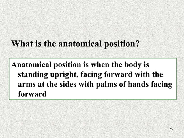anatomical terminology for first year MBBS | PPT | Biological Sciences ...