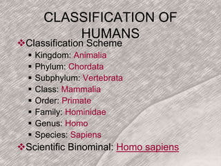 anatomical terminology for first year MBBS | PPT