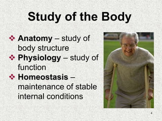 anatomical terminology for first year MBBS | PPT