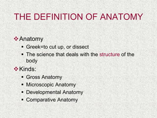 anatomical terminology for first year MBBS | PPT