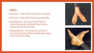 ANATOMICAL TERMS.pptx antony basic for medicos | PPT