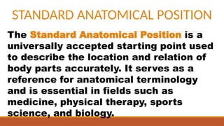 Anatomical Terms 33333333333333333333333333333.pptx
