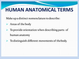 Anatomical Terms AN1.1.pptx