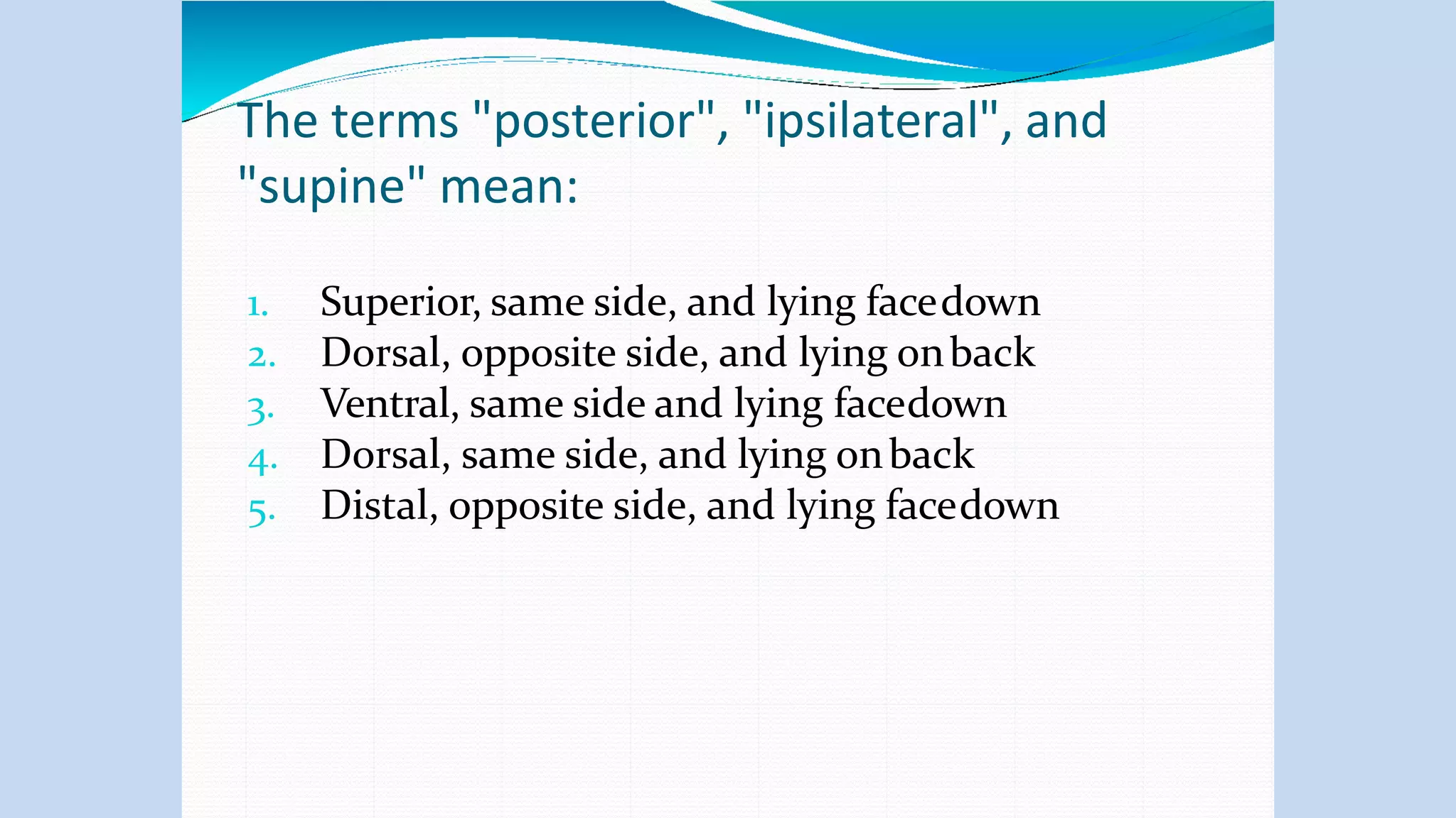 Anatomical Terms AN1.1.pptx