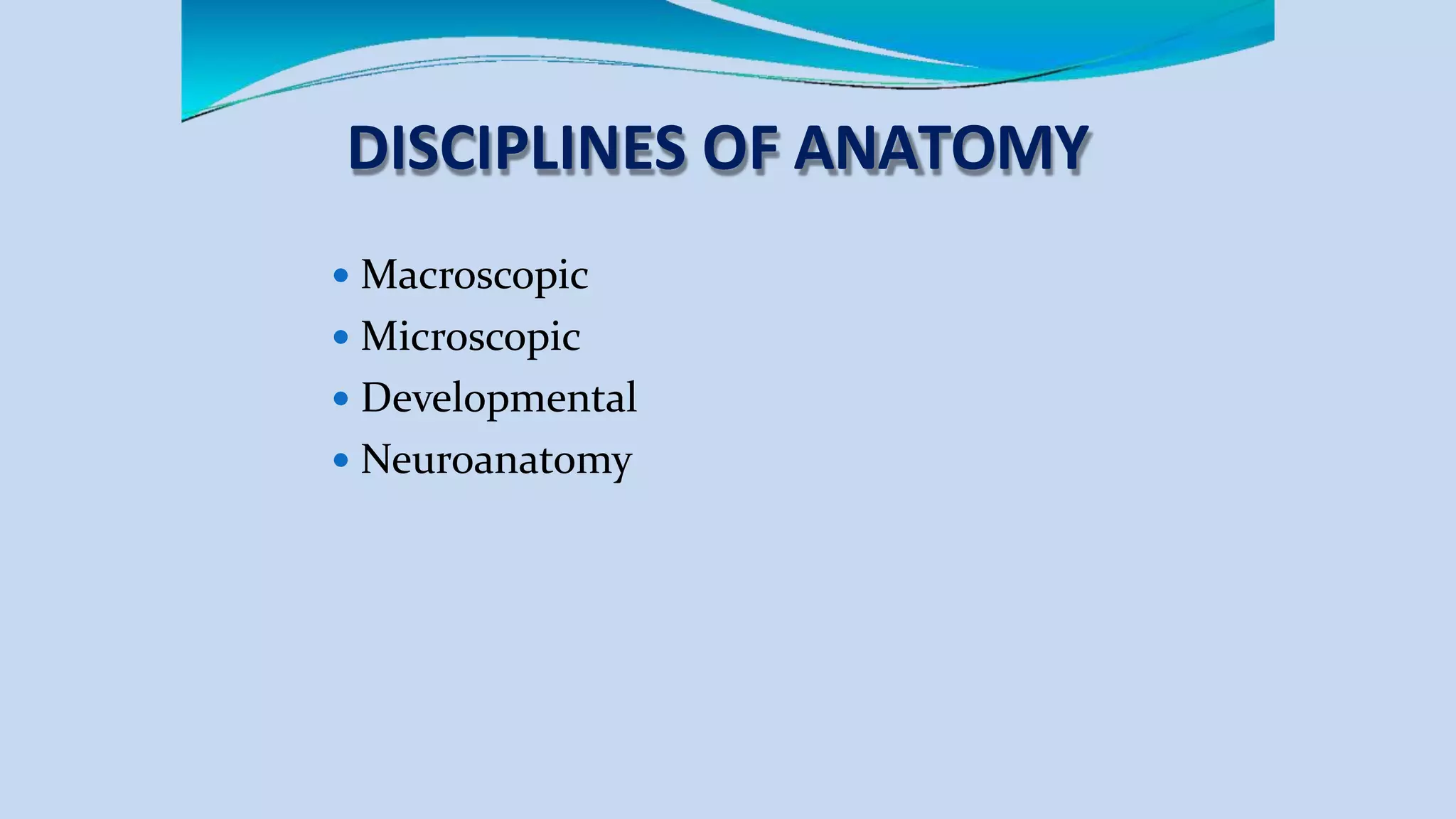 Anatomical Terms AN1.1.pptx