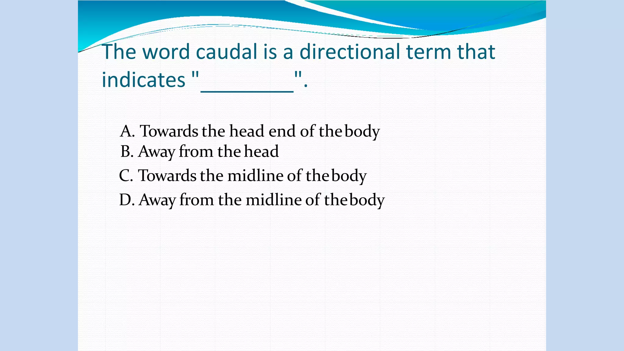 Anatomical Terms AN1.1.pptx