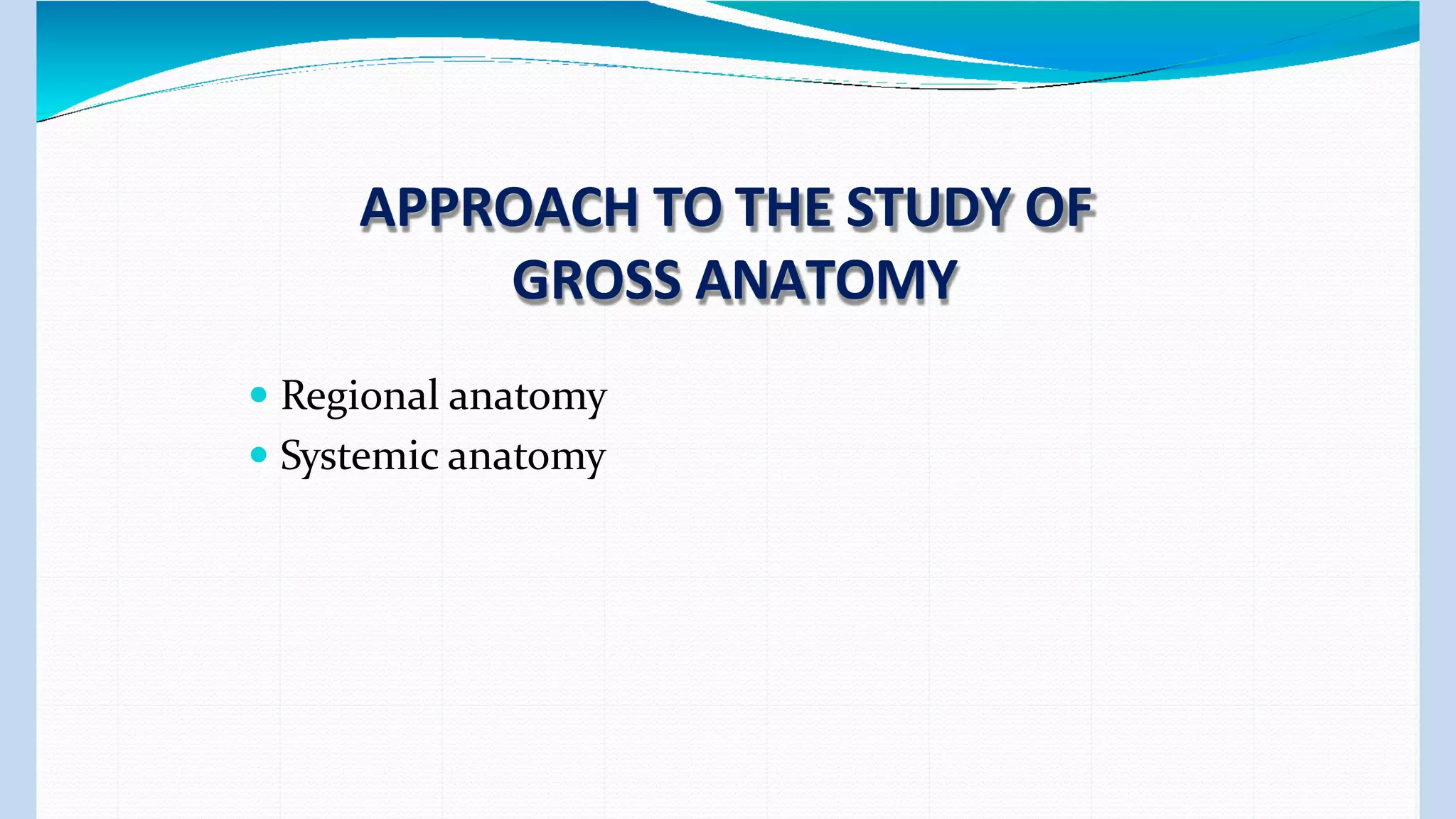 Anatomical Terms AN1.1.pptx